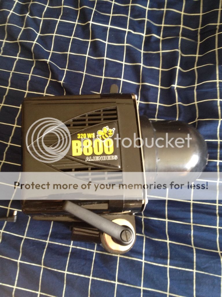 FS: Alien bees b800 - Media And Arts - Newschoolers.com